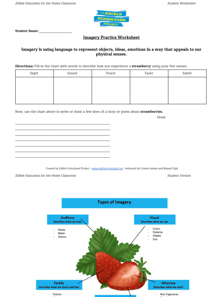 Imagery Practice Worksheet Fillable | PDF