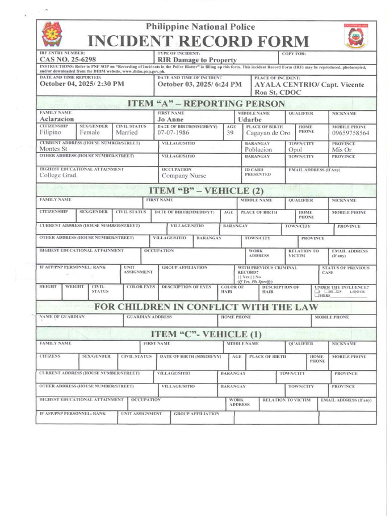 Car Incident Report | PDF