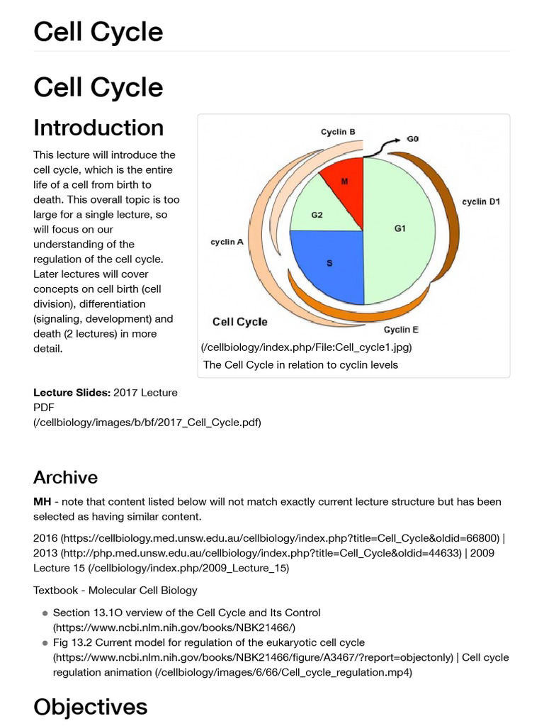 Cell Cycle Regulation and Cyclin Levels | PDF | Cell Cycle | P53
