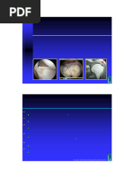Snell Anatomy | PDF