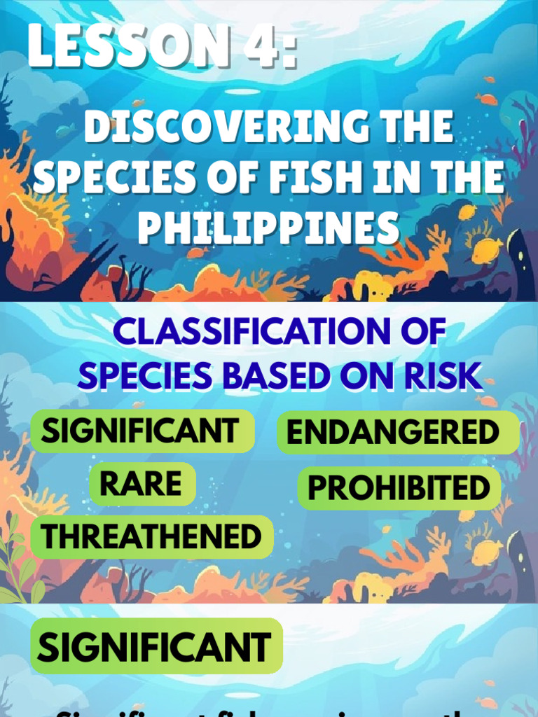 Lesson 4 Discovering The Species of Fish in The Philippines - 20251115 ...