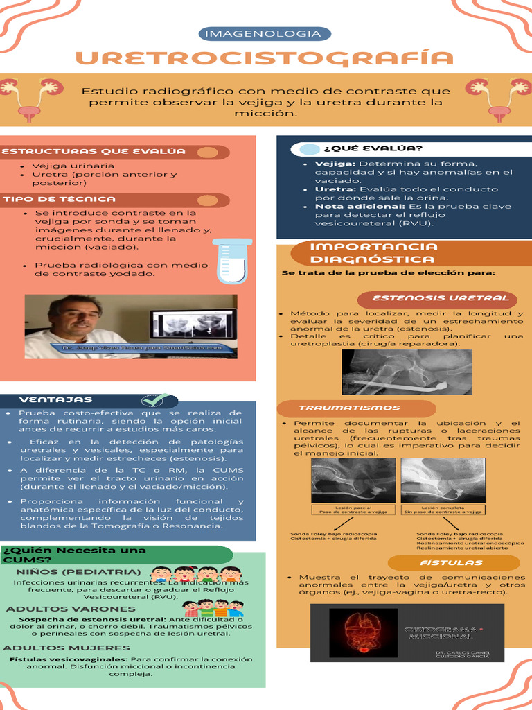 Infografía | PDF | Especialidades Medicas | Urología