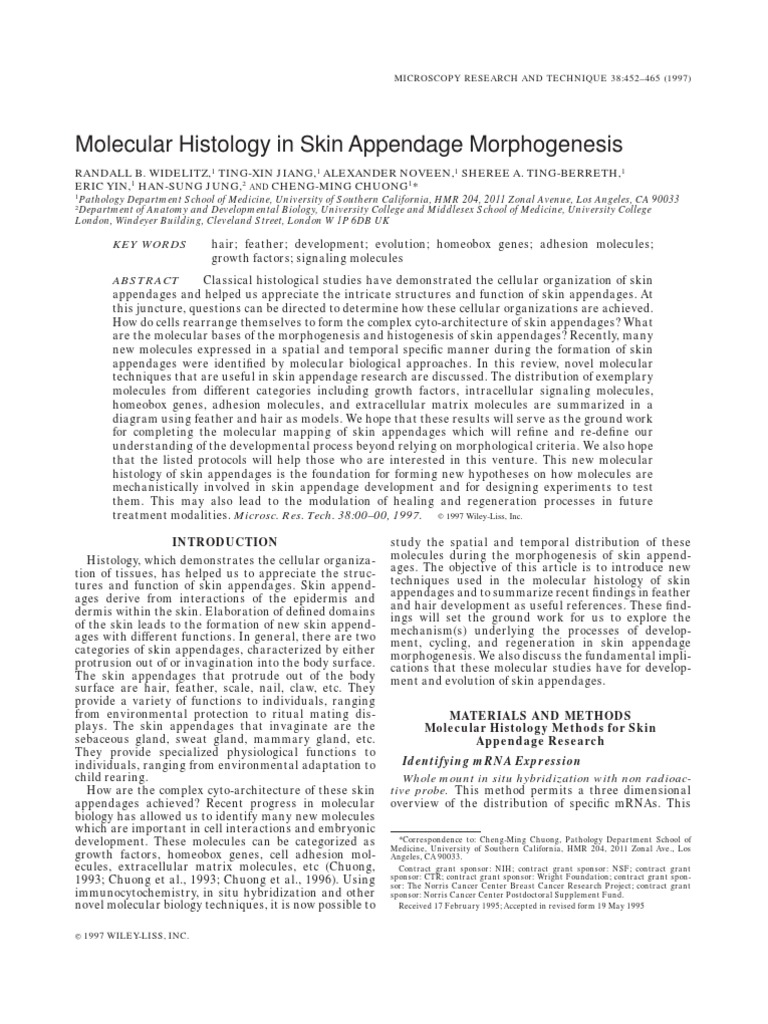 Molecular Histology of Skin Appendages | PDF | Morphogenesis | Skin
