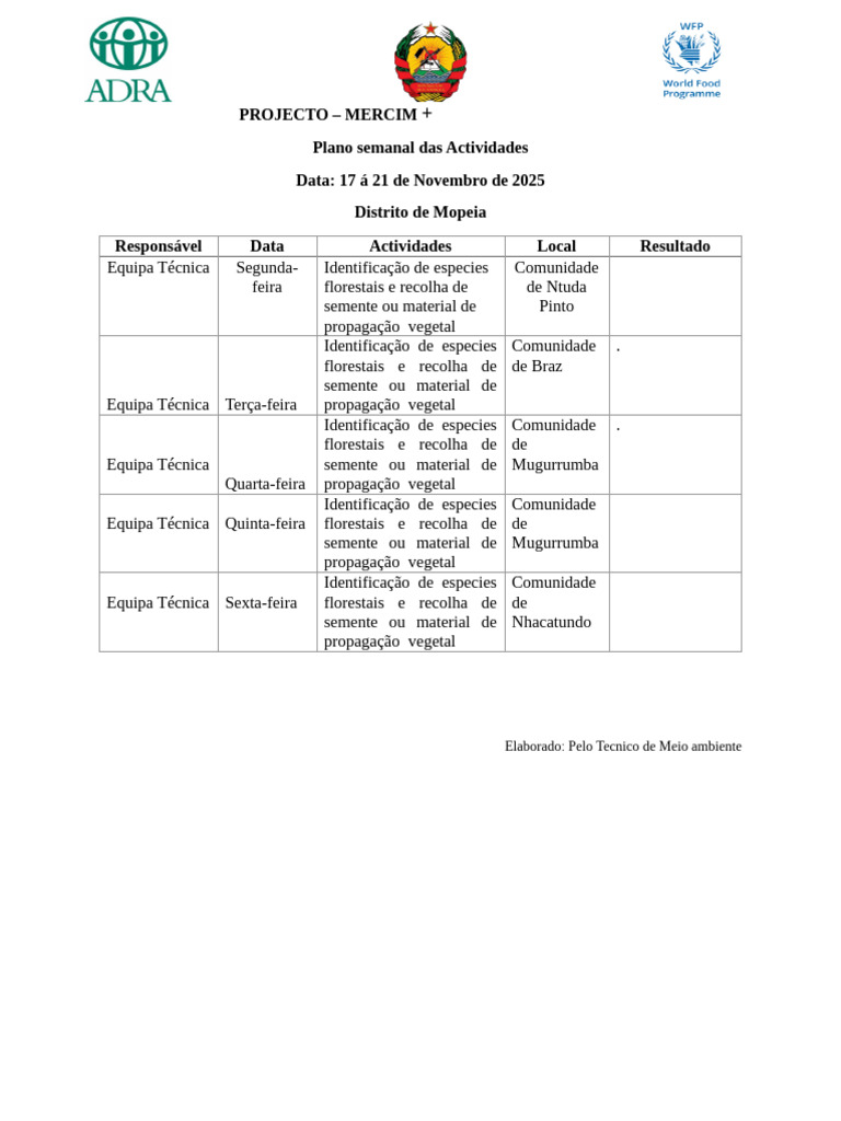 Plano Semanal de Actividade Dos Dias 17 A 21 de Novembro - Mopeia | PDF