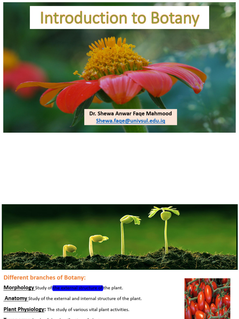 Introduction To Botany 1 (Recovered) | PDF | Plants | Reproduction