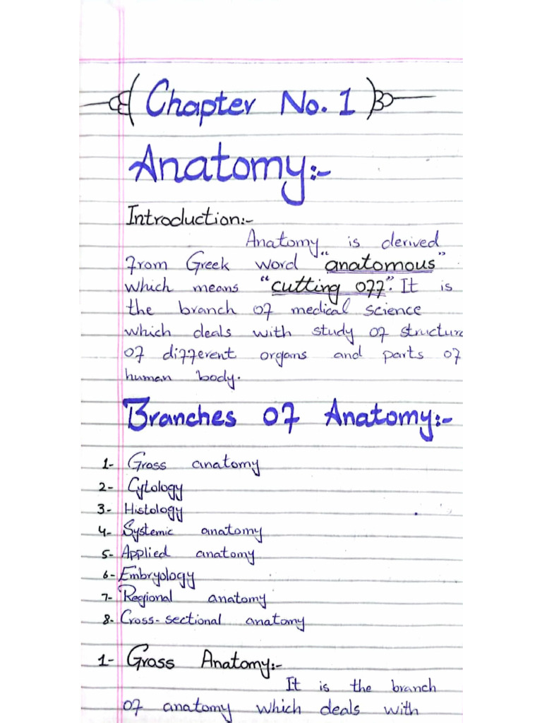 Anatomy Chapter 1,2,3 | PDF