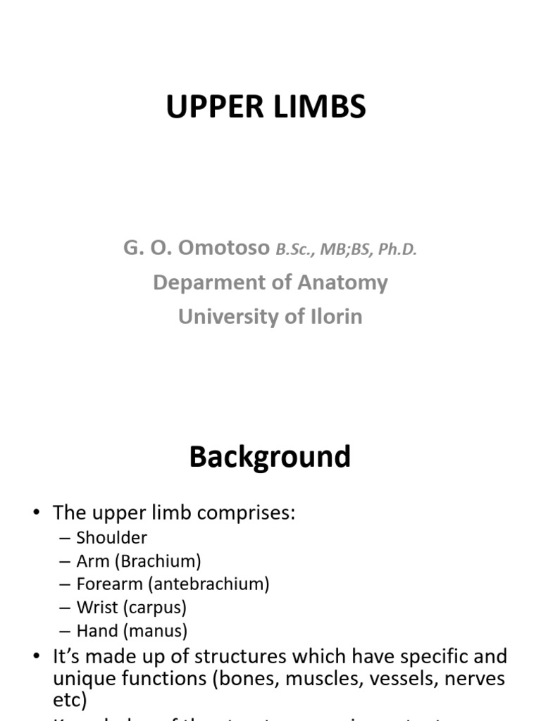 Upper Limb Osteology | PDF | Human Anatomy | Limbs (Anatomy)