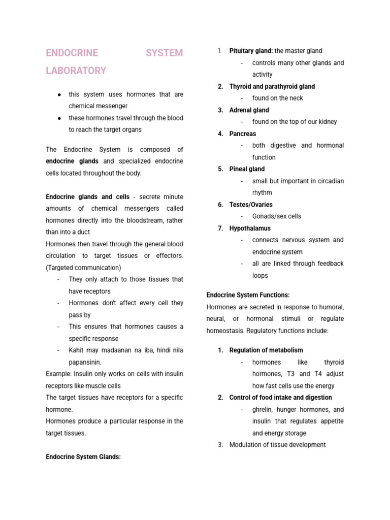 Endocrine | PDF | Adrenal Gland | Endocrine System