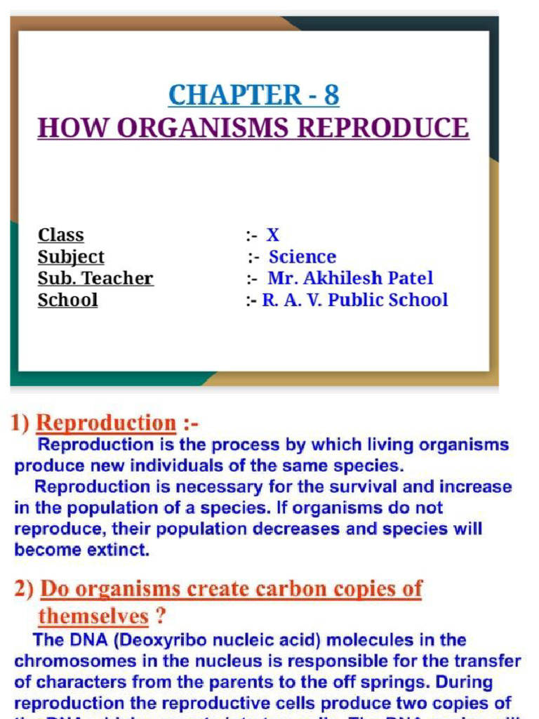 Resource 20251030133943 How Organisms Reproduce | PDF