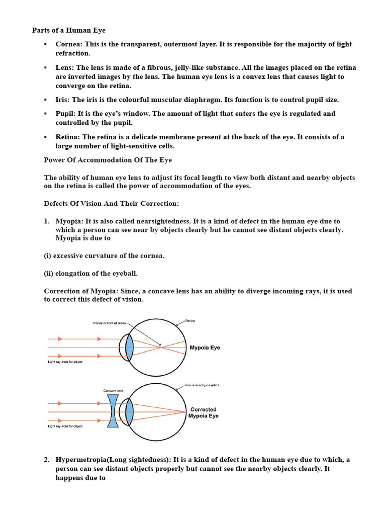 Resource 20250808133735 Notes-Human Eye | PDF | Human Eye | Eye