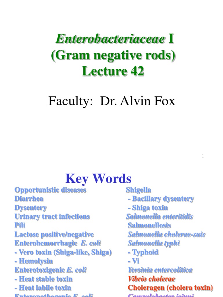 Enterobacteriaceae Overview and Diseases | PDF | Salmonella ...