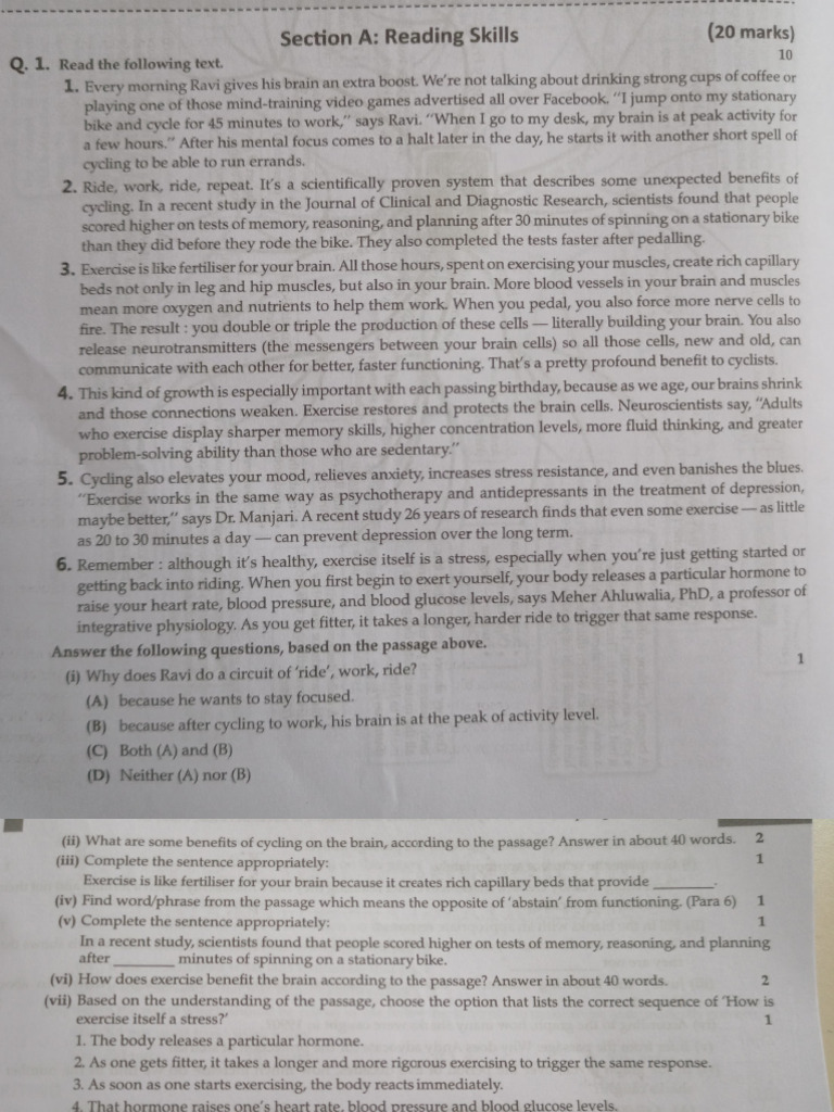 Unseen Passage No-2 | PDF | Major Depressive Disorder | Brain