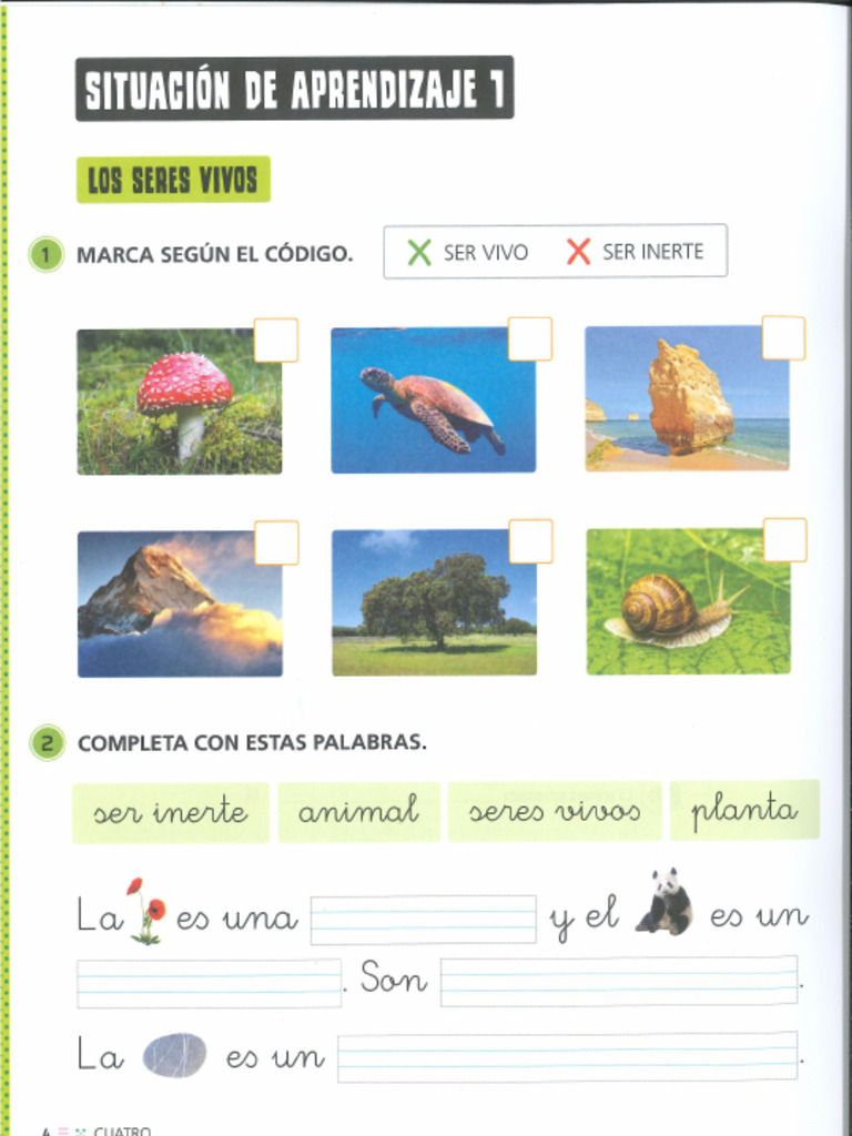 Cuadernillo CCNN 1º | PDF