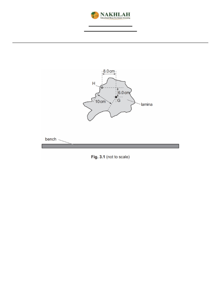 Turning Effect of Forces Worksheet | PDF | Weight | Force