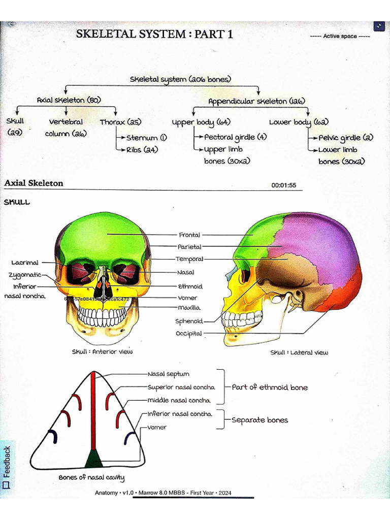 Image to PDF 20251115 00.26.58 | PDF