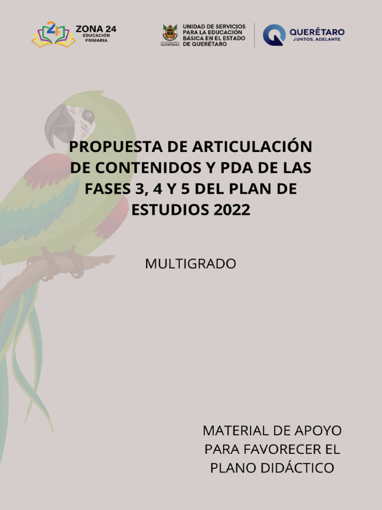 PAC y PDA 2025 | PDF | Educación de la primera infancia | Narración