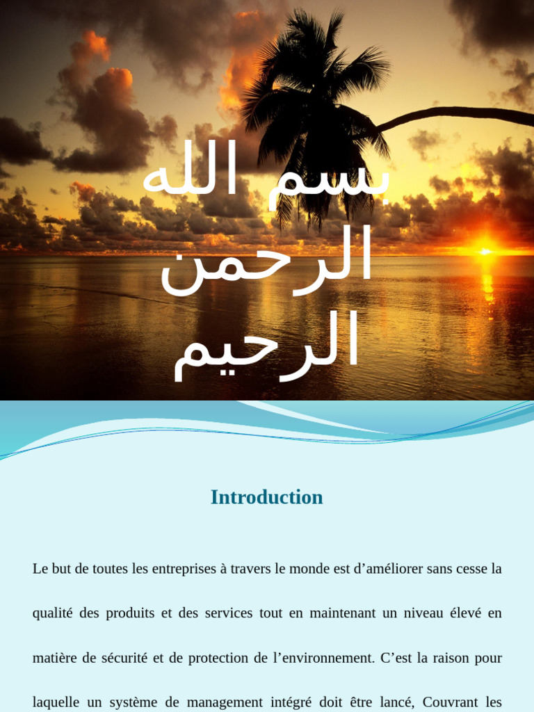 Système de Management Intégré QSE | PDF | Management de la qualité ...