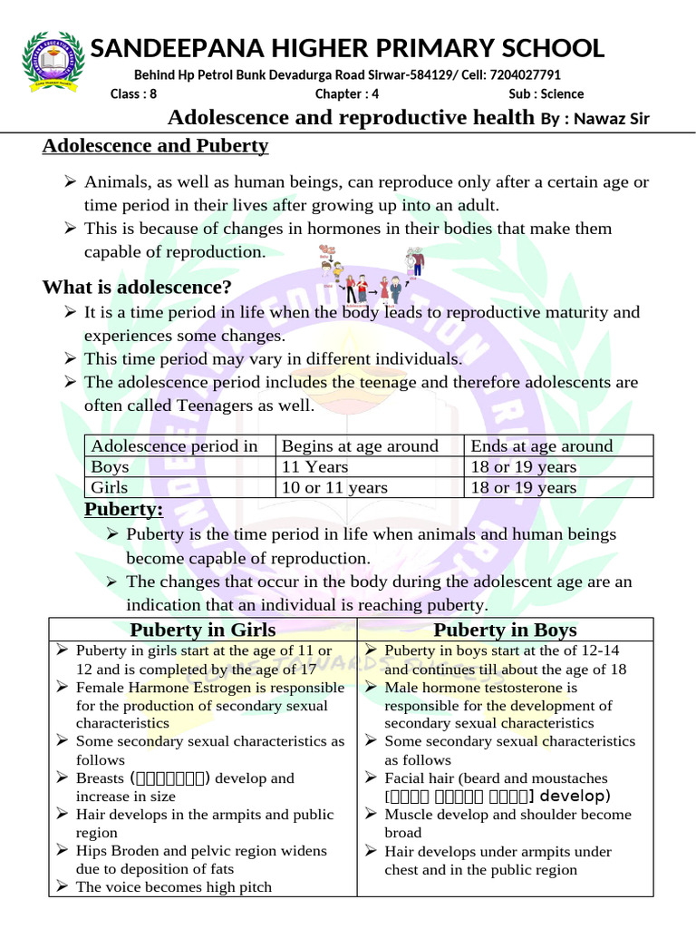 Understanding Adolescence and Puberty | PDF | Puberty | Reproductive System