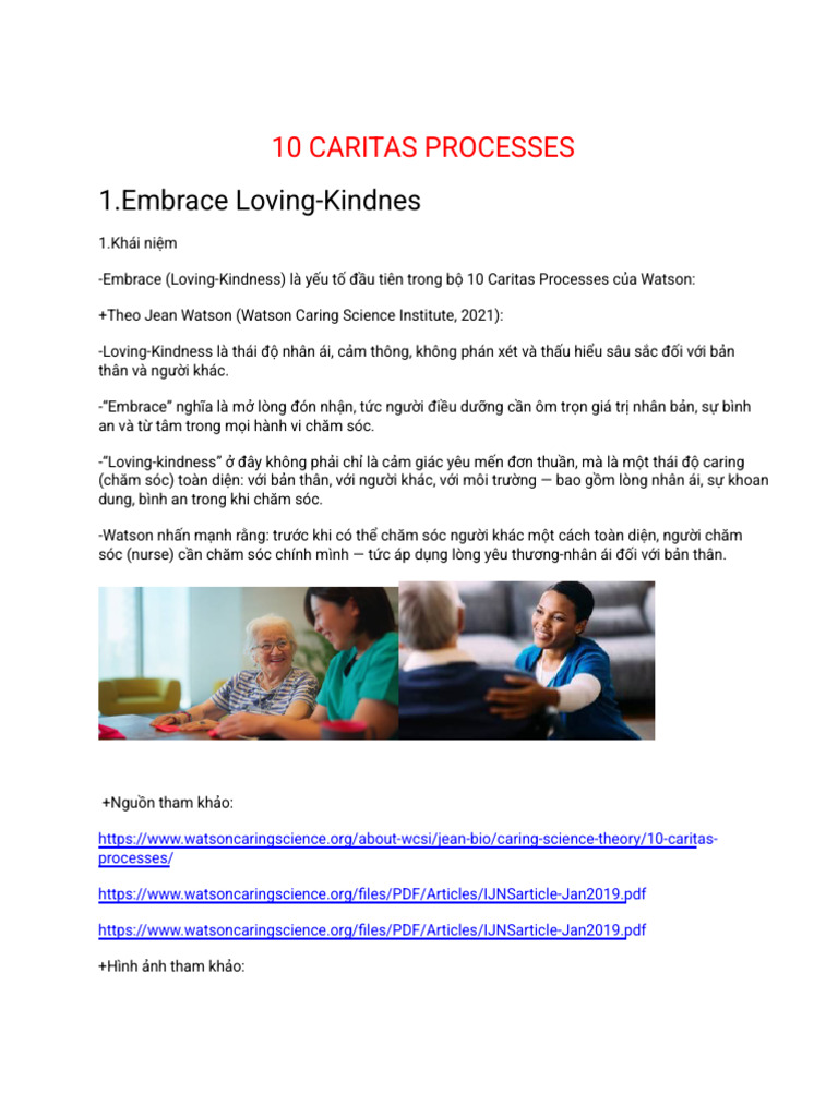 10 Caritas Processes | PDF