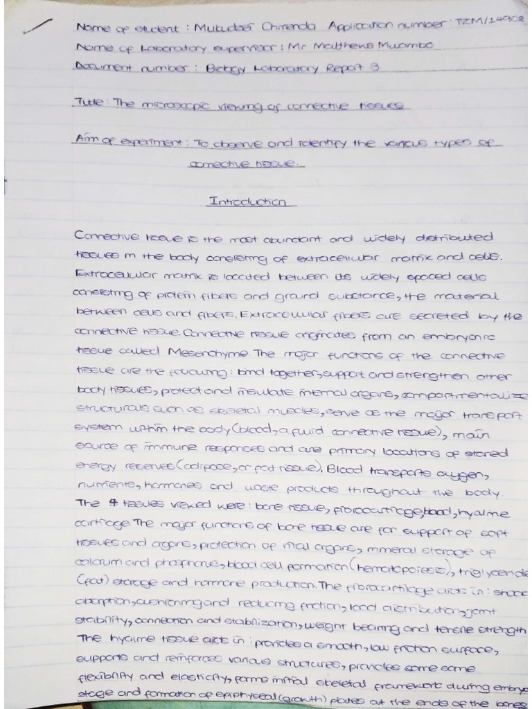 Lab 3 ( Connective Tissue ) | PDF