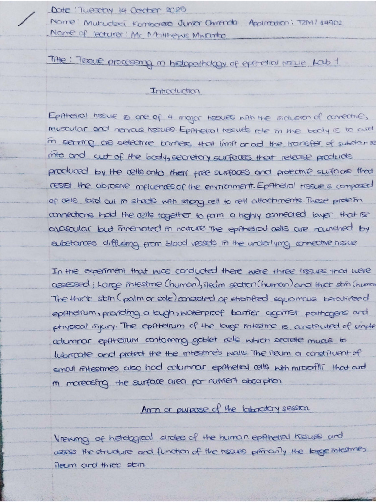 Lab 1 (Epithelial Tissues) | PDF