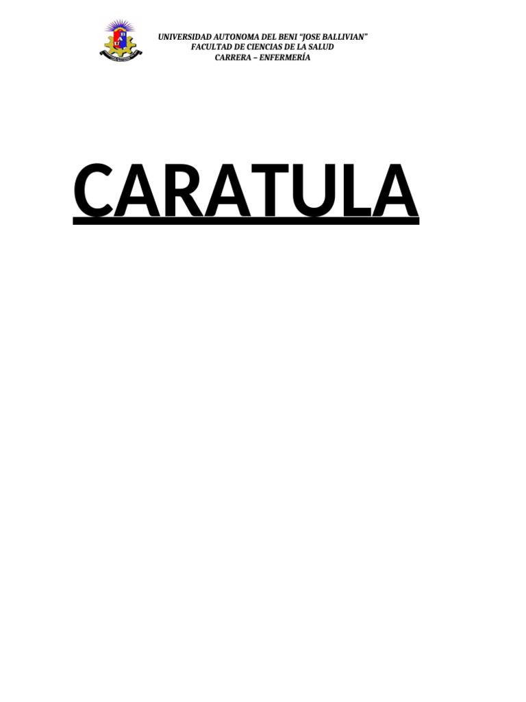 9 Plan de Trabajo | PDF