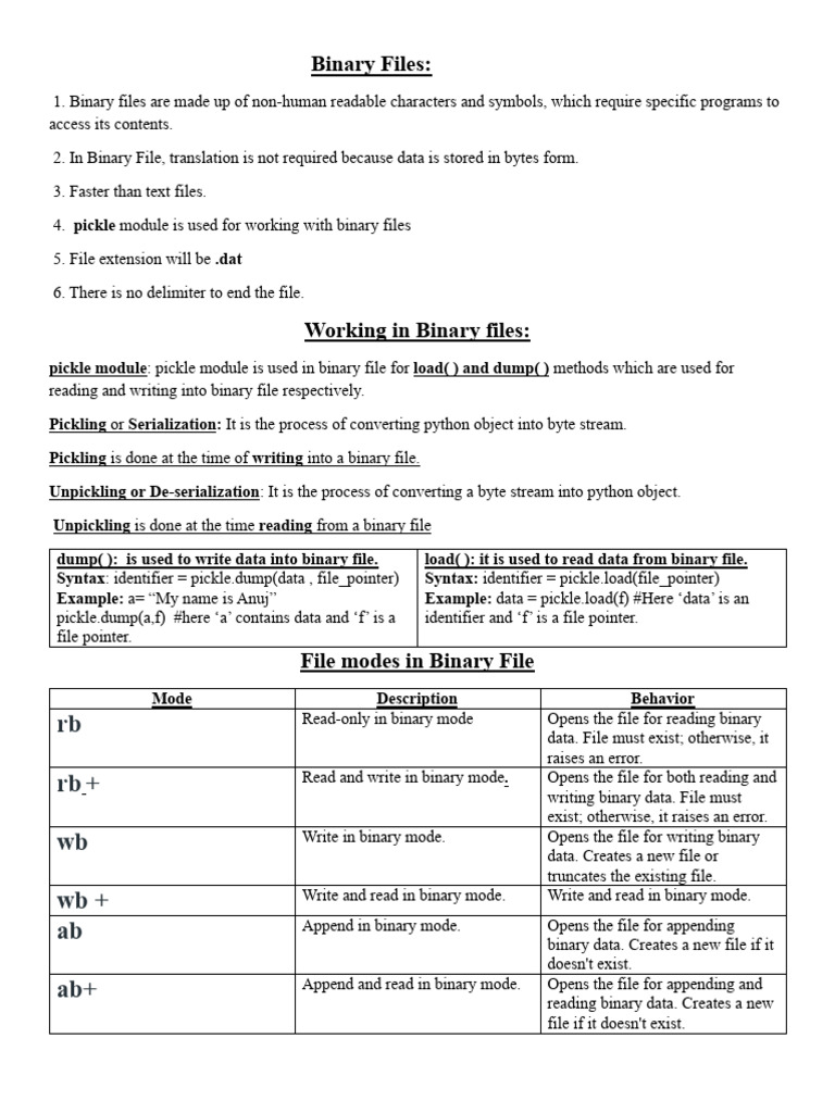Binary Files | PDF | Software Development | Computing