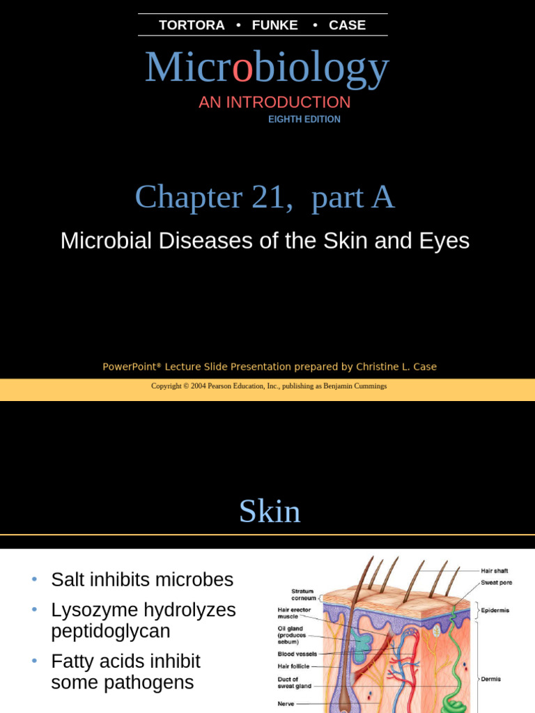 Ch21a_Lect | PDF | Staphylococcus | Streptococcus