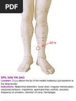 Triple Warmer Meridian Acupoint Chart PDF | PDF | Headache | Symptoms ...