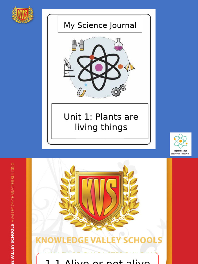 Unit1, 1.1 Alive or Not Alive | PDF