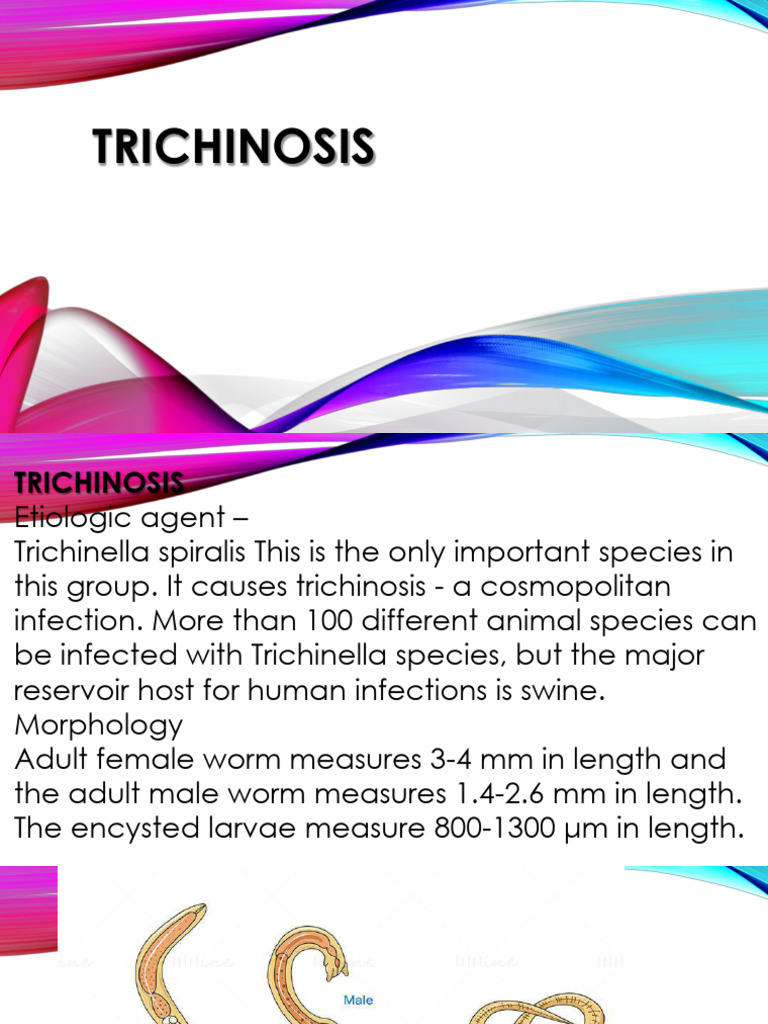 Trichinosis | PDF | Microbiology | Parasitology