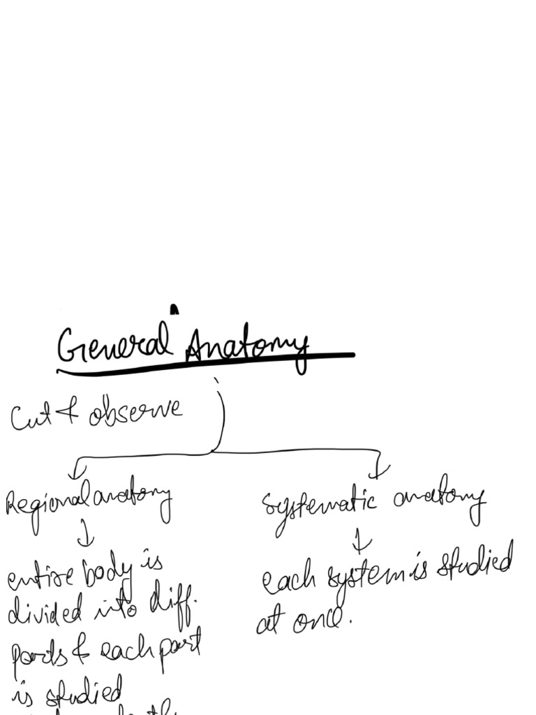 General Anatomy | PDF