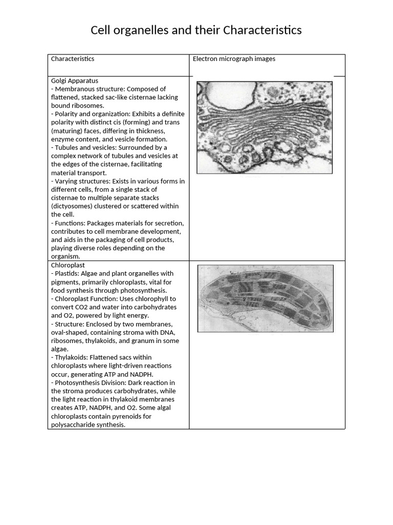 Electron Micrographs For Organelles | PDF | Cell (Biology ...