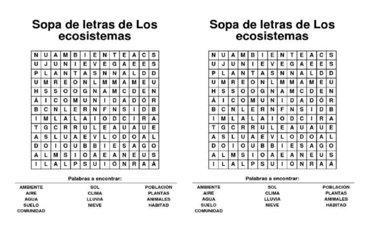 Sopa de Letra - Ecosistemas | PDF