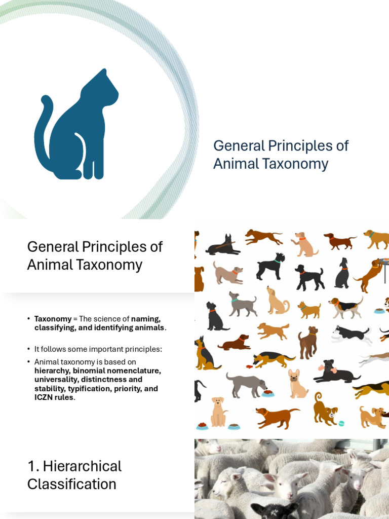 General Principles of Animal Taxonomy | PDF | Taxonomy (Biology) | Genus
