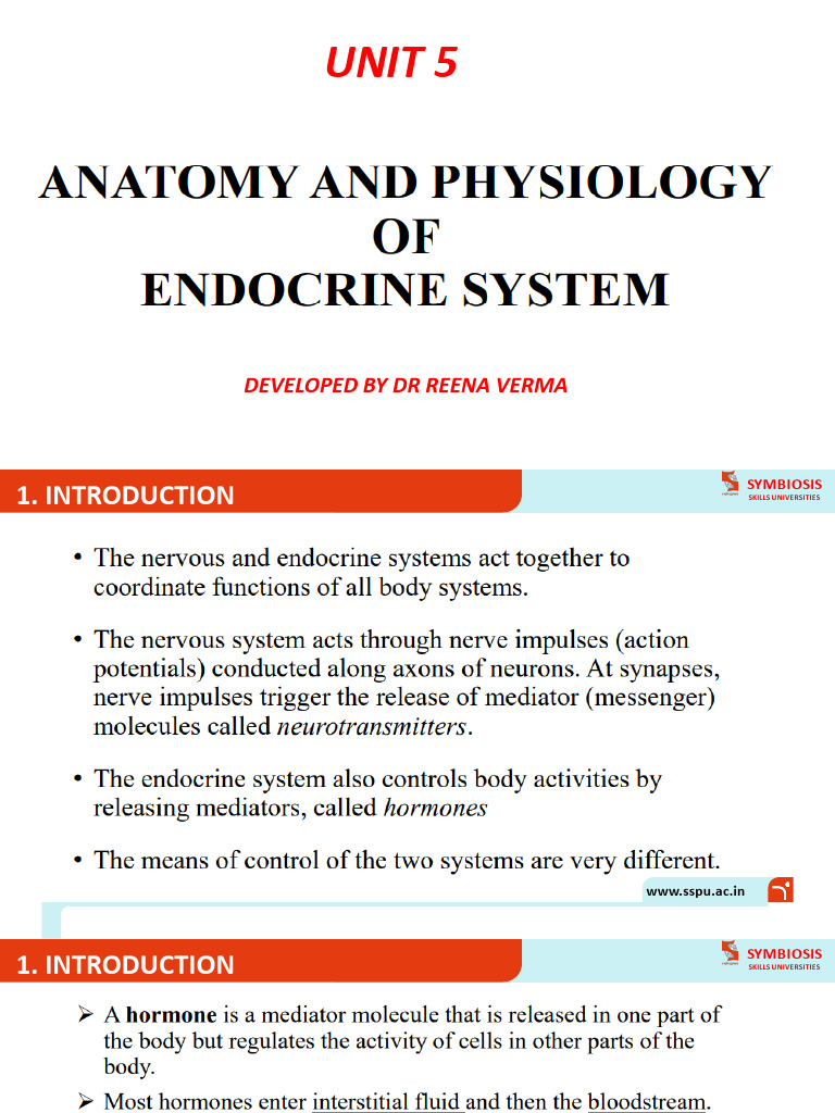 Endocrine | PDF