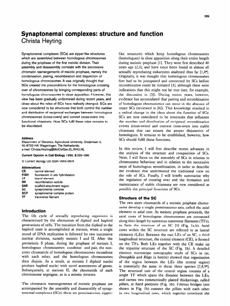Synaptonemal Complexes Structure and Function | PDF | Meiosis | Genetic ...