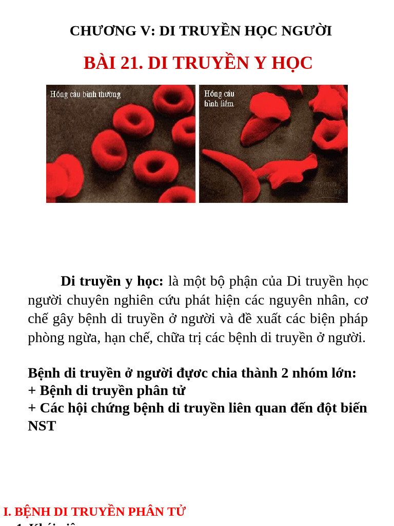 Tiet 25 - Di Truyen y Hoc Dc8040a61b | PDF