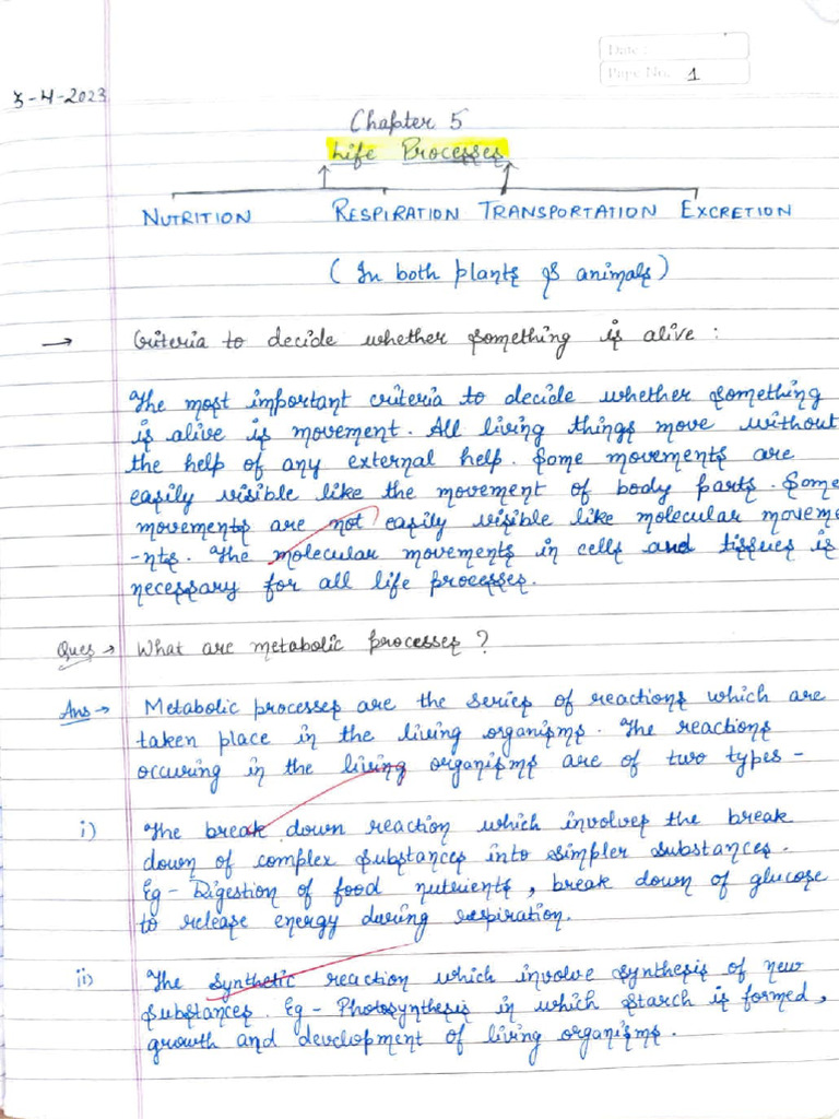 Life Processes Notes - Nutrition & Respiration - Class-X | PDF