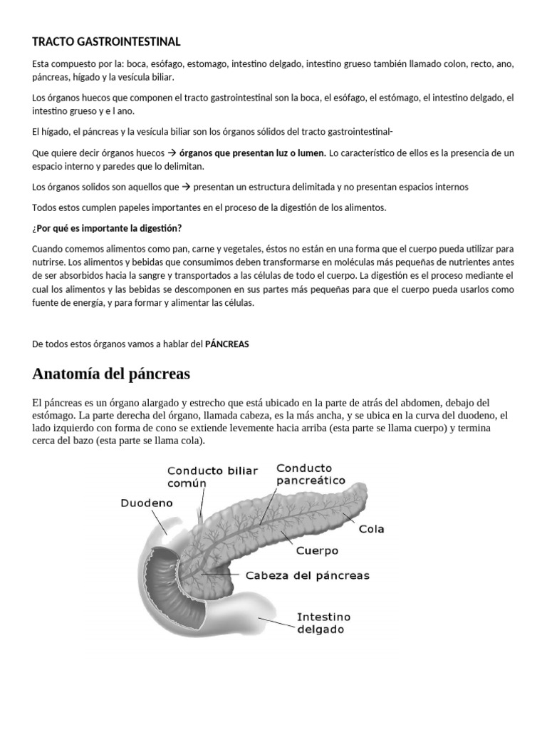 Pancreas | PDF | Páncreas | Tracto gastrointestinal