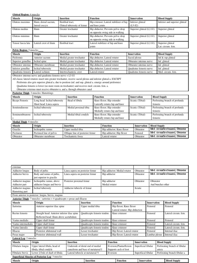 PS 01 - Lower Limb Muscles Table From Gray's | PDF | Foot | Pelvis