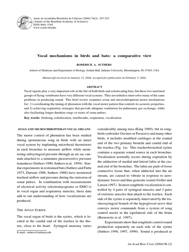 Bird and Bat Vocal Mechanisms Explained | PDF | Larynx