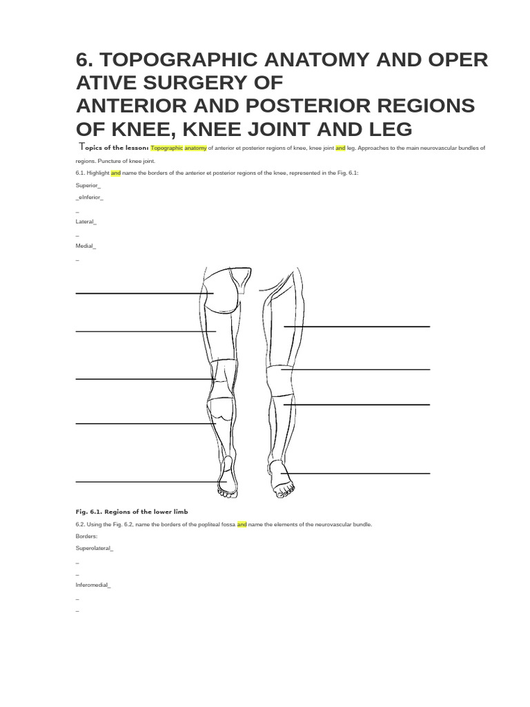 6 .Topographic Anatomy and Operative Surgery of Anterior and Posterior Regions of Knee, Knee ...