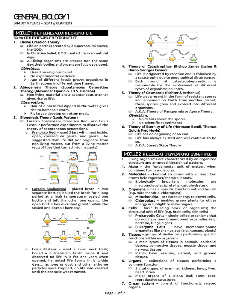 STM 007 | PDF | Meiosis | Cell (Biology)