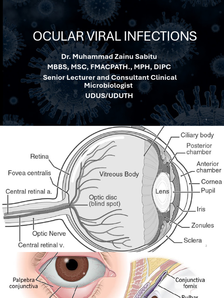 Ocular Viral Infection UG 3 OPTOMETRY JULY 2025 | PDF | Medical ...