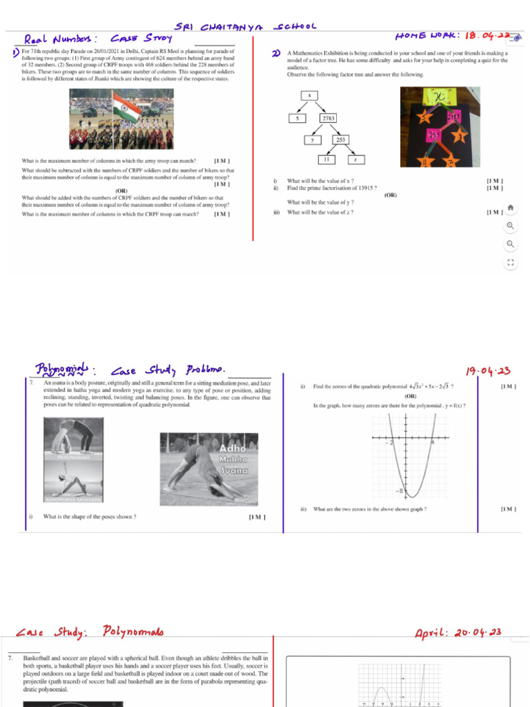 Case Study Real Numbers and Polynomials | PDF