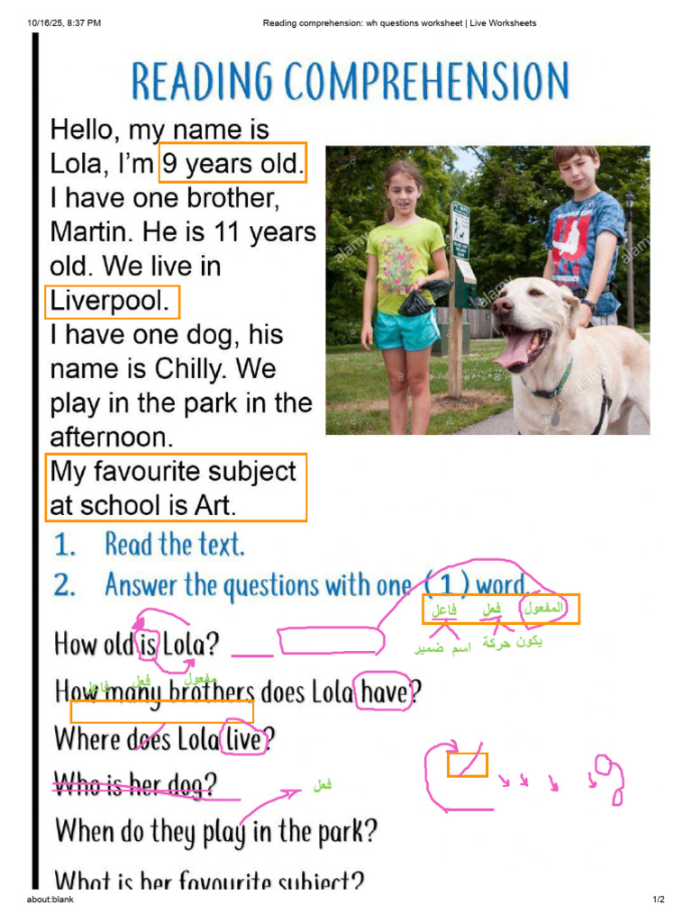 Reading Comprehension - WH Questions Worksheet - Live Worksheets | PDF