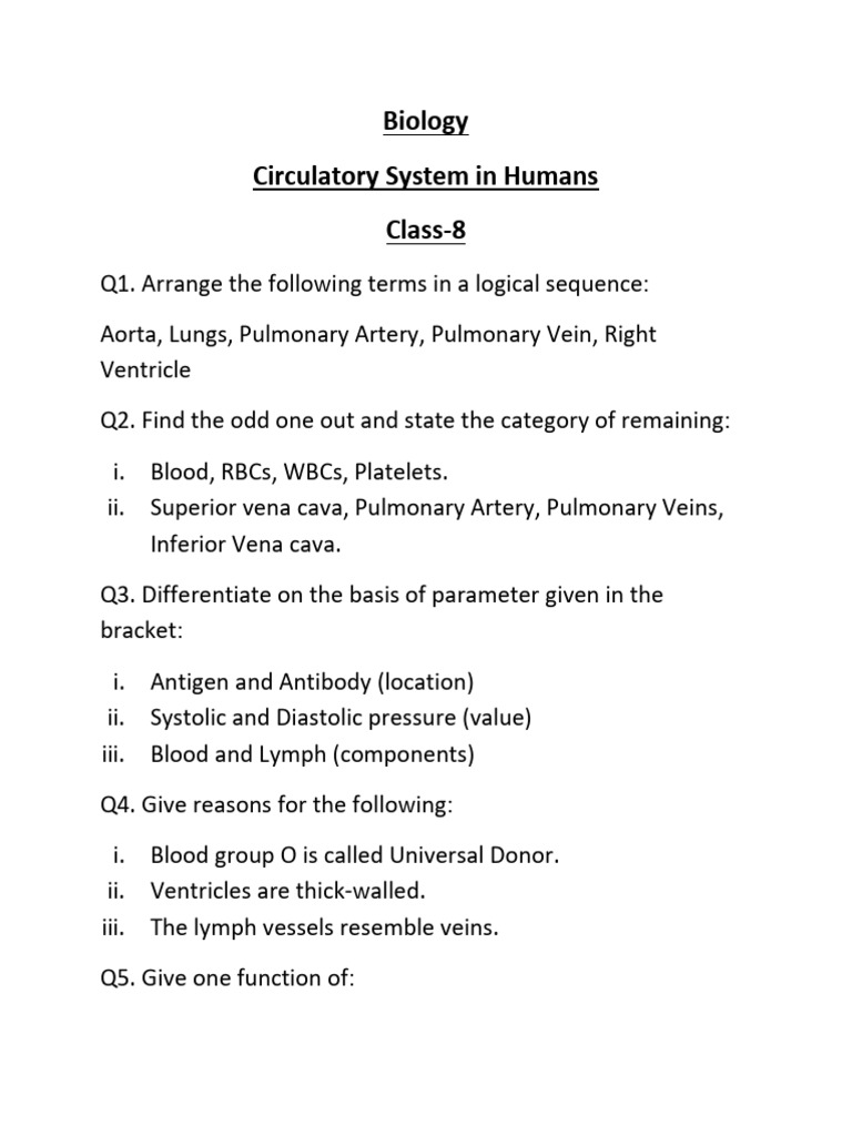 Human Circulatory System Overview | PDF