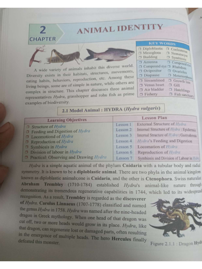Hsc Hydra ev part 1 | PDF