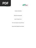 DENVER II - Manual Completo PDF | PDF